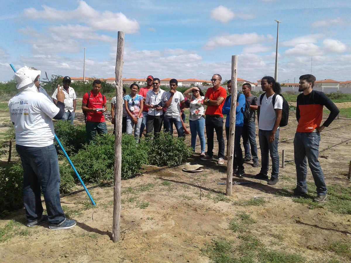 27913398 1635001923252938 5877320383751693088 O Jpg Univasf