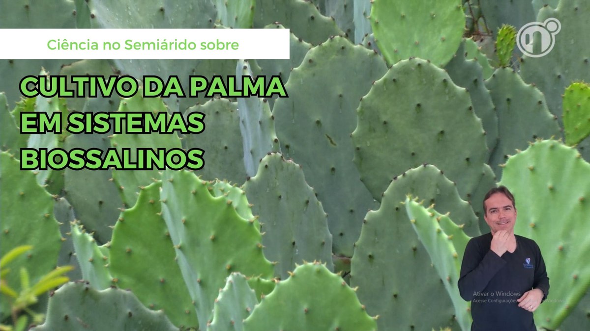 Ciência no Semiárido sobre cultivo da palma em sistemas biossalinos ...