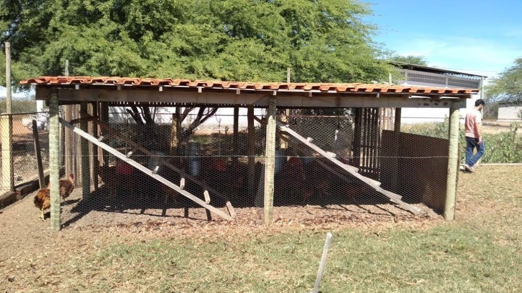 EXTENSIVO FGO.jpg — UNIVASF Colegiado de Zootecnia